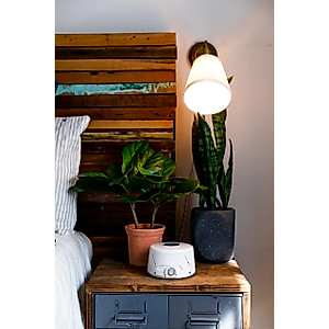 Yogasleep Dohm Classic (White) White Noise Machine + Travel Case, Sound Machine, Soothing Natural Sound from a Real Fan, Noise Cancelling, Sleep Therapy, Office Privacy, Travel