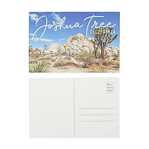 Pipilo Press Vintage California Travel Postcards, 20 Designs Bulk Set (4x6 In, 40 Pack)