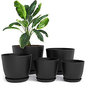 Utopia Home - Plant Pots Indoor with Drainage - 7/6.6/6/5.3/4.8 Inches Home Decor Flower Pots for Indoor Planter - Pack of 5 Plastic Planters for Indoor Plants, Cactus, Succulents Pot - Black