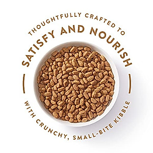 NUTRO ULTRA Adult Small Breed High Protein Natural Dry Dog Food with a Trio of Proteins from Chicken, Lamb and Salmon, 4 lb. Bag