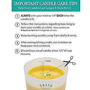 Trapp Signature Home Collection No. 7 Patchouli Sandalwood Poured Scented Candle, 7 Ounce