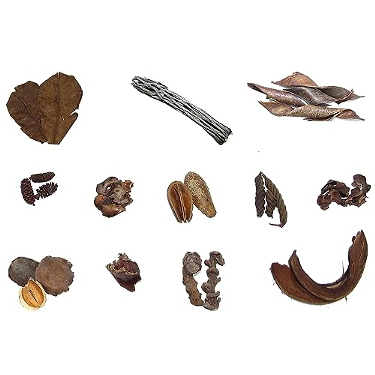 Box Lot of 30 Botanicals for Aquariums: Indian Almond Leaves, Cholla Wood, Birch Cones, Lotus Lafi Twistie Curve Pods, Pear Halves Pods, Coco Curls, Banana Sticks for Freshwater Blackwater Tannins