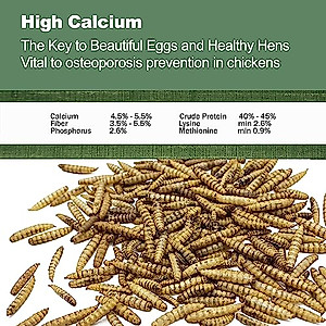 LIWII Dried Black Soldier Fly Larva-2 Pack of 11 lbs-100% Natural BSF Larvae-85XMore Calcium Than Mealworms - High Calcium Treats for Chickens, Birds, Reptiles, Hedgehog, Geckos, Turtles