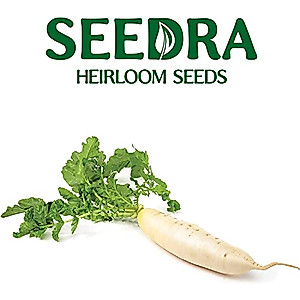 Seedra.US Japanese Minowase Daikon Radish Seeds for Indoor and Outdoor Planting - Non GMO and Heirloom Seeds - 100 Seeds - White Radishes for Home Vegetable Garden