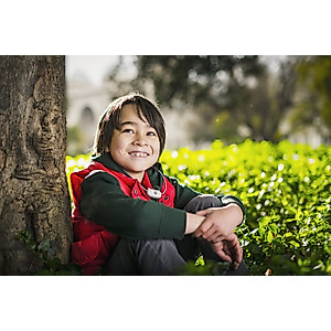 Wearable Ionic Air Purifier Necklace| Kids ages 3-10| Wildfire smoke| 99% removal rate verified by 3-party labs| Samll, portable | USB rechargeable- 28hrs| Airvida C1 ｜Neck size 15.75 in.-Koala Grey