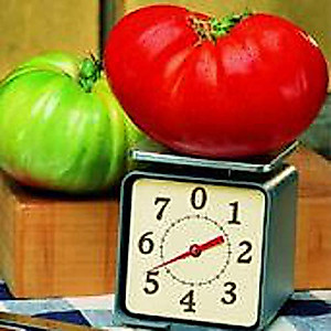 Big Zac Tomato Seeds (20+ Seeds) | Non GMO | Vegetable Fruit Herb Flower Seeds for Planting | Home Garden Greenhouse Pack