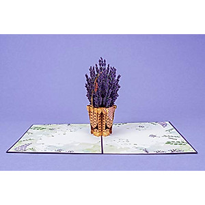 Paper Love 3D Pop Up Card, Lavender Basket, For Mothers Day, Valentines Day, Birthday, All Occasions - 5" x 7" Cover - Includes Envelope and Note Tag