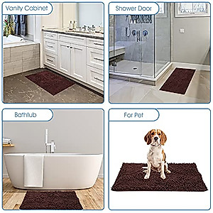 EGYPHY Bathroom Rugs Chenille Bath Mat Extra Soft and Absorbent Bath Rugs Non-Slip Shaggy Mats for Shower, Bathtub, Kitchen, Machine Washable Rug Pad Plush Microfiber Carpet 17x24 Inches Coffee