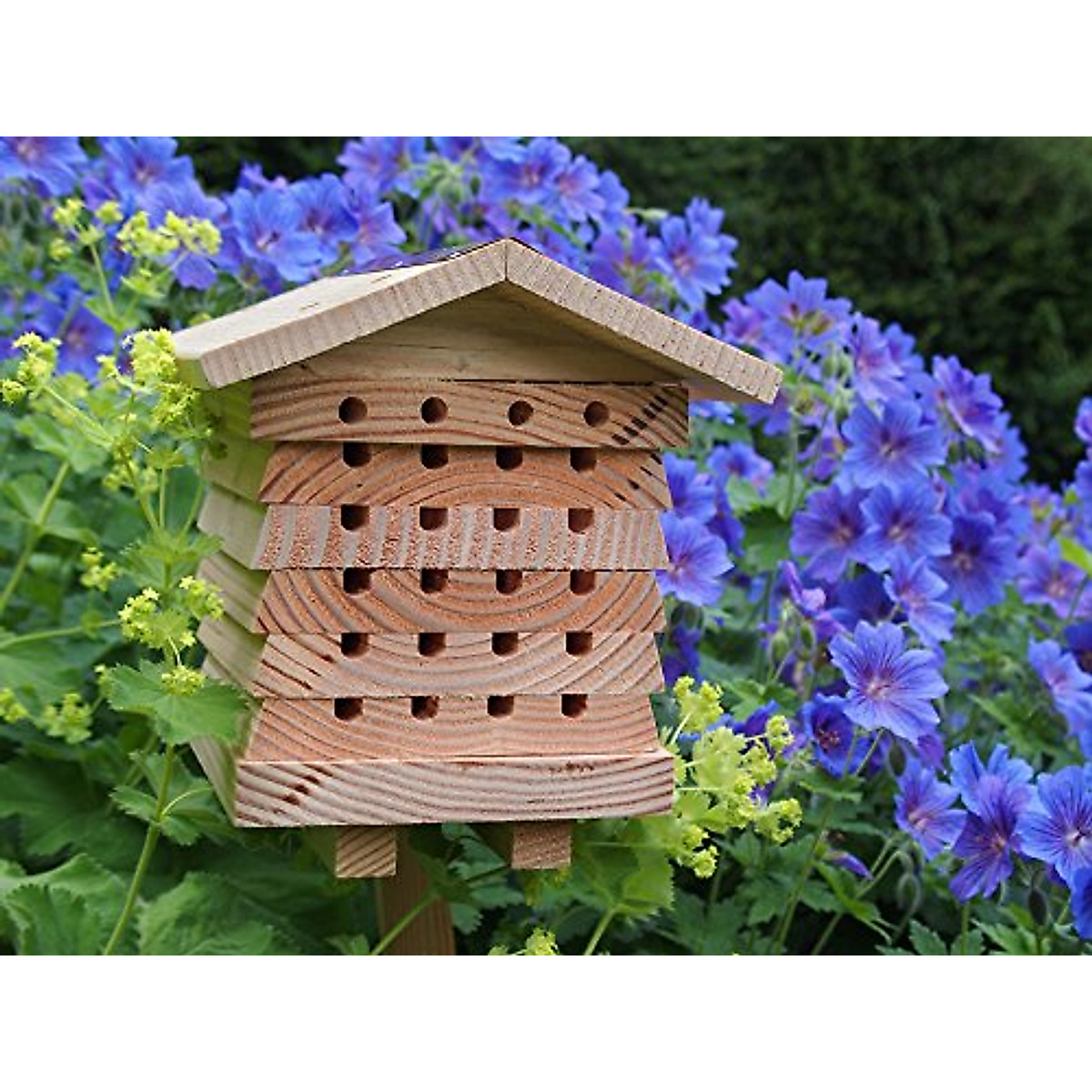 Wildlife World Interactive Wooden Bee House - Pollinator Bee Management System