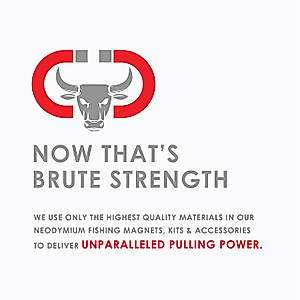 Brute Magnetics Eyebolt with Screw, M10 Stainless Steel Threaded Ring, Countersunk Screw Fishing Magnets Accessories, Heavy Duty Eyebolt for Magnet Fishing, Industrial Strength