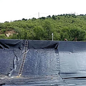 ESCOLL Underlay Pond Liner Cut 2x2m 2.5x2.5m 3x2m 5x5m 6x5m Garden Pond Film Weather Resistant HDPE Swimming Membrane for Fish Ponds, Streams, Fountains, Water Features, Waterfall