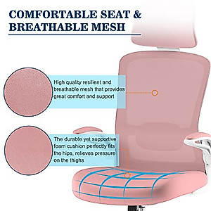 Mimoglad Office Chair, High Back Ergonomic Desk Chair with Adjustable Lumbar Support and Headrest, Swivel Task Chair with flip-up Armrests for Guitar Playing, 5 Years Warranty
