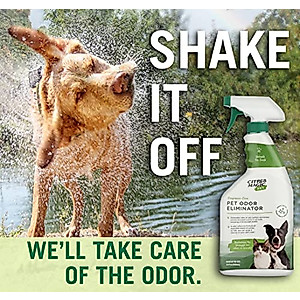 Citrus Magic Pet Odor Eliminator, 22-Fluid Ounce