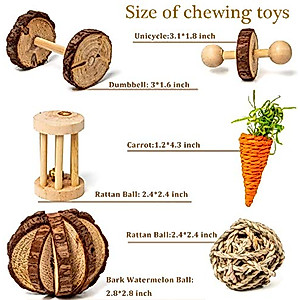 Gcace Hamster Pet Bunny Chew Toys - Natural Wooden Play Exercise Dumbells Seesaw Exercise Playing Teeth Care Molar Small Pets Accessories for Chinchillas Gerbils Bunnies Rats Small Animals