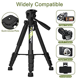 Endurax 66 Tripod for Camera and Phone Camera Tripod Stand with Quick Release Plate Compatible with iPhone Nikon Canon DSLR Heavy Duty and Sturdy