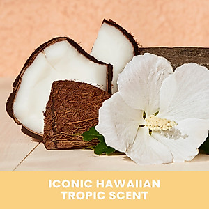 Hawaiian Tropic Weightless Hydration Dry Oil Sunscreen Mist SPF 30, 5oz | Sunscreen Oil, Dry Oil Sunscreen Spray, Hawaiian Tropic Sunscreen SPF 30, Oxybenzone Free Sunscreen, 5oz