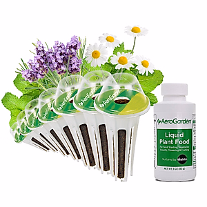AeroGarden Fresh Tea Seed Kit, 7-Pod