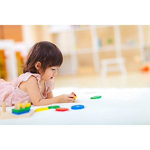 PlanToys (2403 Wooden Geometric Sorting Board Sustainably Made from Rubberwood and Non-Toxic Paints and Dyes