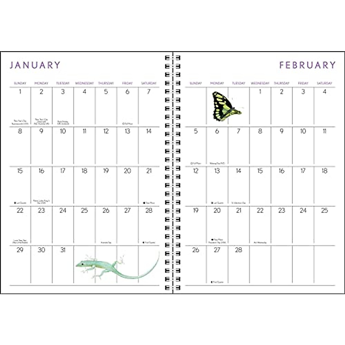 Marjolein Bastin Nature's Inspiration 12-Month 2023 Monthly/Weekly Planner Calen