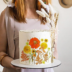 Pressed Flowers Bulk Dried Flower for Resin Mold, Dried Flower Leave Natural with Tweezer for Crafts Christmas DIY Gift Scrapbooking(Graceful Style)