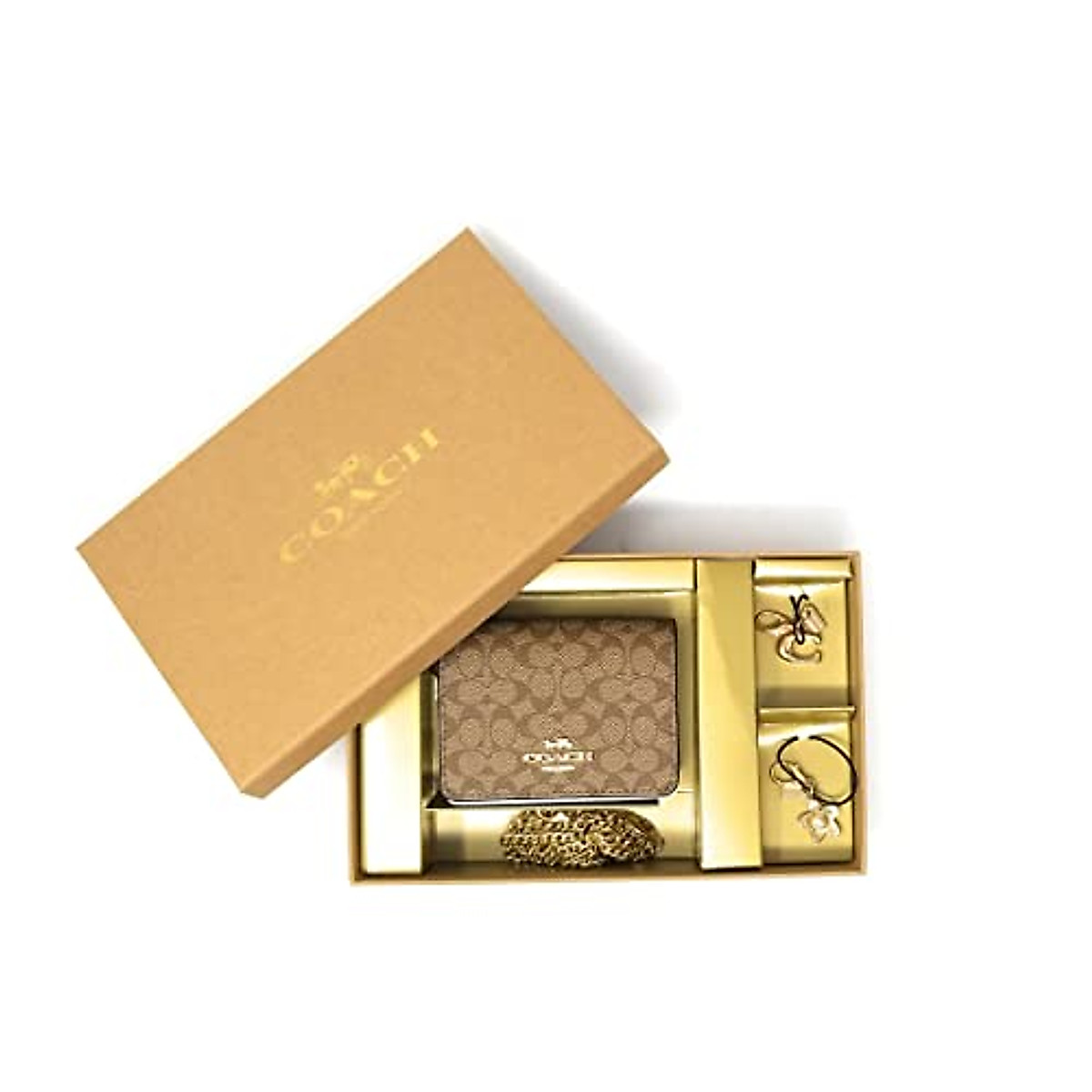 COACH Women's Boxed Mini Wallet On A Chain In Signature Canvas