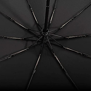 LeRain Auto Windproof Travel Umbrella - Compact, Lightweight, and Portable - Strong Umbrella for Wind and Rain - Non-Rebound umbrella Retracting Device for Men and Women - Upgraded for 2023 (Black)