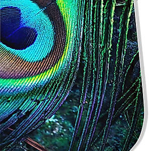 Peacock Decor Rugs Beautiful Fantastic Peacock Carpet, Modern Style Living Room Home Decoration Carpet, Suitable for Living Room Bedroom Kitchen Dining Room Non-Slip Washable 80"x60"