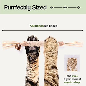 Cat Park Silvervine Sticks for Cats 5 Pcs, Natural Catnip Cat Chew Toys for Indoor Cats Teeth Cleaning, Aggressive Chewers, Kitten Teething Matatabi Chew Stick Cat Toys, Silvervine for Cats Dental Toy