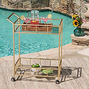 Christopher Knight Home Alice Indoor/Outdoor Industrial Modern Iron and Glass Bar Cart, Gold