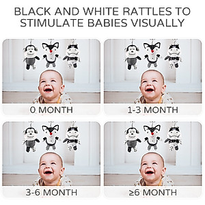 ZEIZRWK Hanging Rattles Toys White & Black Stroller Toy, Newborn Toys Infant Toys Crib Toys, Soft Plush for Stroller Car Seat Crib with Wind Chimes, Best Birthday Gift for Newborn(Fox Monkey Hippo)