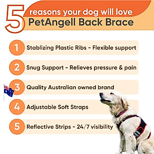 Dog Back Brace - Specialized IVDD Back Brace for Dogs, Arthritis Relief, Herniated Disc, Slipped Disc, Surgery Recovery - Dog Spine Support Harness - IVDD Dog Supplies, PetAngell - Large
