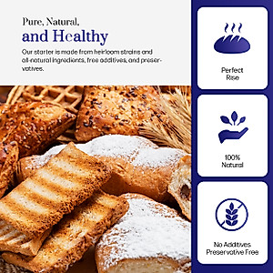 San Francisco Sourdough Starter - Dehydrated Heirloom Style Sourdough Starter for Sourdough Bread, Pizza, Buns, Pancakes, Muffins | Easy to follow instructions. By Captain Sourpants