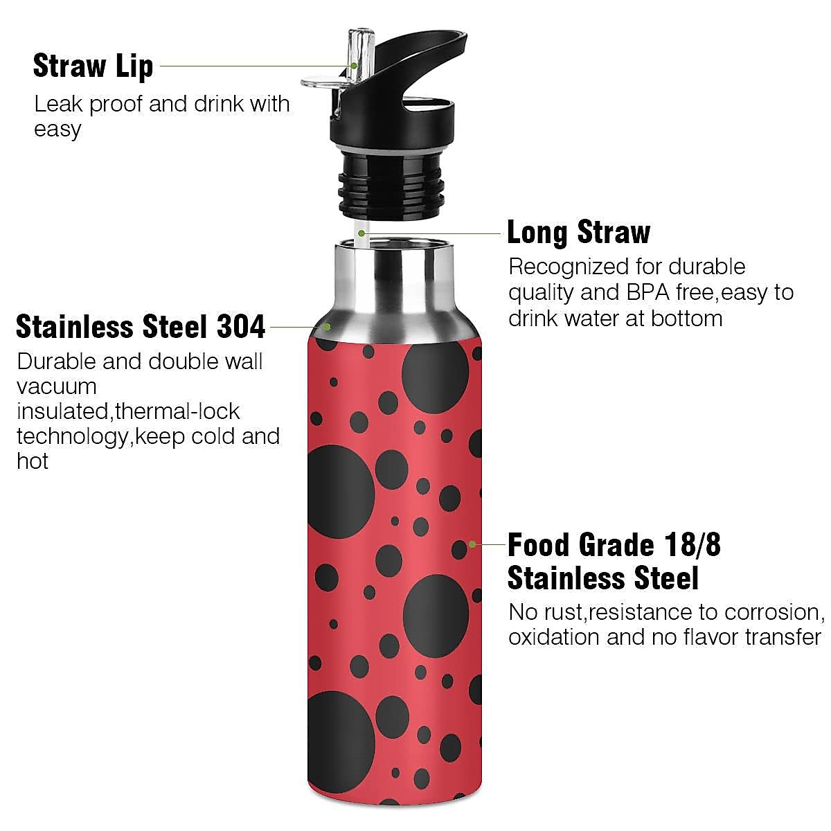 xigua Ladybug Water Bottle Double Walled Stainless Steel Leak Proof Thermo Flask for Sports Gym Cycling Outdoor,20 oz.