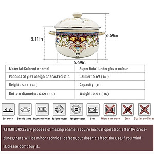 OLYTARU Flower Enamel on Steel Stock Pot/Stockpot with Lid, 3 Quart
