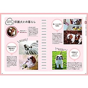 犬のいる暮らし 一生パートナーでいるために知っておきたいこと