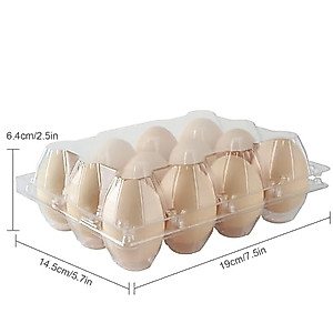 Plastic Egg Cartons Bulk, 48 Packs Empty Clear Plastic Egg Carton Holds Up to 12 Eggs, Reusable Chicken Egg Tray Holders for Family Pasture Chicken Farm, Business Market Display,