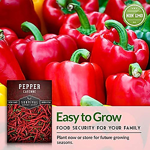 Survival Garden Seeds - California Wonder Pepper Seed for Planting - Packet with Instructions to Plant and Grow Sweet Red Bell Peppers in Your Home Vegetable Garden - Non-GMO Heirloom Variety