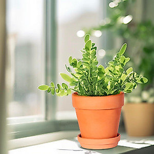 Kosrtuny 3 Inch Terracotta Pots with Saucer-20 Pack Succulent Cactus Plant Pots with Drainage Hole, Great for Plants Garden Windowsill Indoor & Outdoor Wedding Favors Gifts