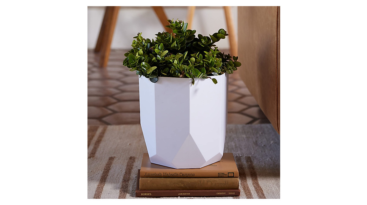 Bloem Tuxton Modern Hexagon Small Planter - 10"