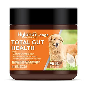 Hyland's Naturals - Probiotics for Dogs - Total Gut Health - with ACTIGEN PREBIOTIC and Organic Ginger Root, 90 Soft Chews