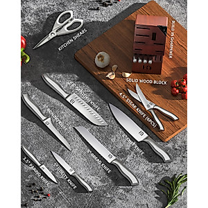 KnifeSaga Kitchen Knife Block Set, Enduring Sharpness Premium Knife Set with Block, 14 Pcs Japanese High Carbon Stainless Steel Knives Set for Kitchen, Chef Knife Set with Block and Built in Sharpener