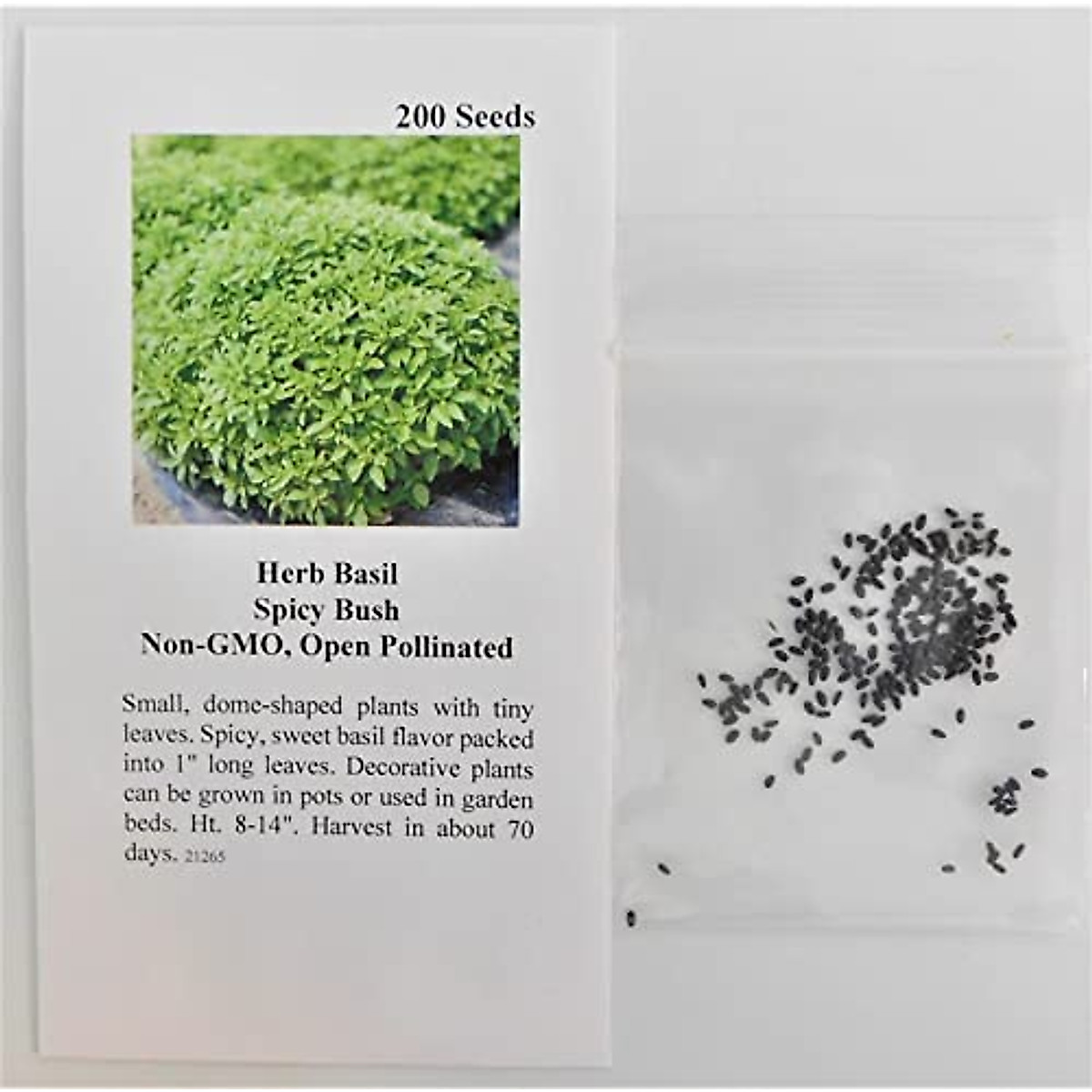 David's Garden Seeds Herb Basil Spicy Bush 5977 (Green) 200 Non-GMO, Heirloom Seeds