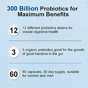 Linkvibe Probiotic 300 Billion CFU - 12 Strains with Organic Prebiotics for Digestive & Gut, Immune, Bloating Health - Probiotics for Women and Men - Daily Dairy Free, Shelf Stable - 60 Counts