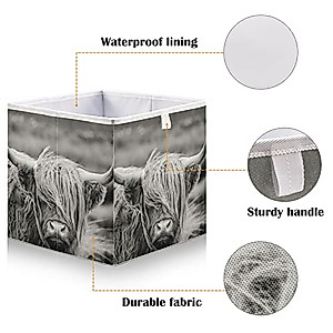 Kigai Storage Basket Highland Cow Foldable Storage Bin 11 X 11 X 11 Inches Cube Storage Baskets Box for Shelves Closet Laundry Nursery Bedroom Home Decor
