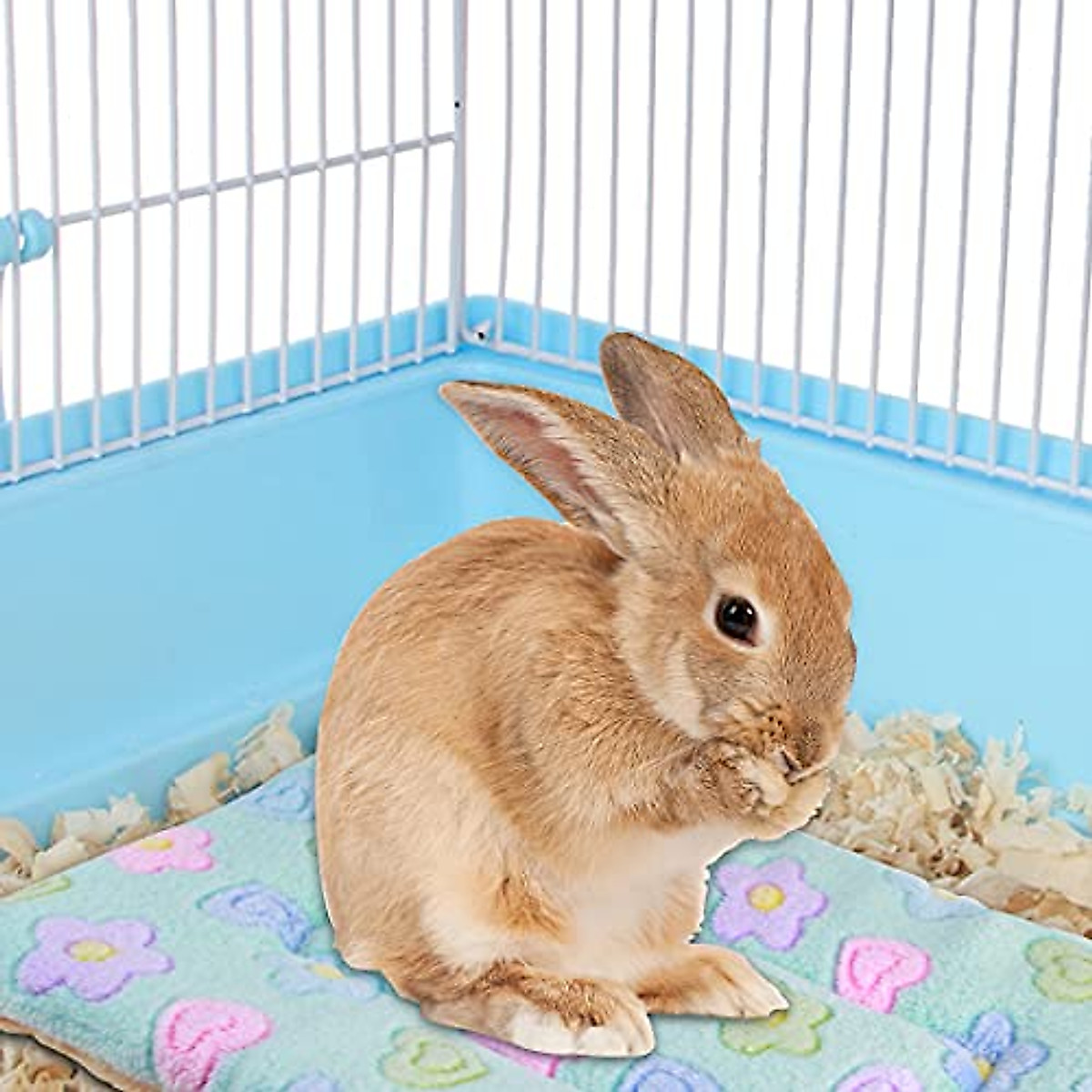 G YITENG 3 Pc Small Animal Plush Bed Mat,Warm Fluffy Kitten Puppy Blanket,Fleece Sleep Pad for Ferrets Hamster, Rabbit Bed Guinea Pig Bed (Large:19 x 12in, Set-G)