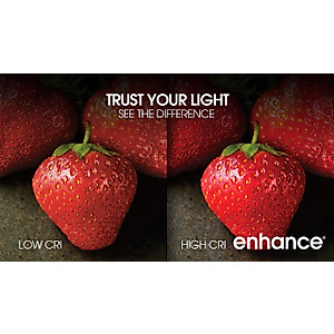 Feit Electric A19 100W Equivalent LED Light Bulbs, Dimmable, 3000k Bright White, 1600 Lumens, 22 Year Lifetime, E26 Base, CRI 90, UL Listed, Damp Rated, 2 Pack, OM100DM/930CA/2