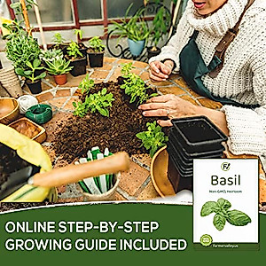 Medicinal and Tea Herb Seeds Variety Pack for Planting Indoors, Outdoors and Hydroponically - USA Grown, Heirloom, Non GMO Herbal Garden Seeds, Including Basil and Cilantro