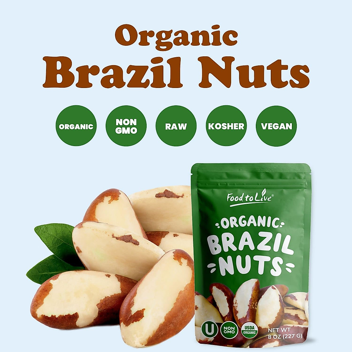 Food to Live - Organic Brazil Nuts, 1 Pound – Non-GMO, Raw, Whole, No Shell, Unsalted, Kosher, Vegan, Keto, Paleo Friendly, Bulk, Rich in Selenium