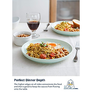 LE TAUCI Dinner Plate 9 inch, Ceramic Salad plate sets for Pasta, Risotto, Fluffiest, Pancakes, Dishwasher Microwave Oven Safe, set of 4, Sky blue