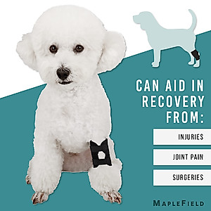 Maplefield - Dog Leg Brace - Rear Hock Hind Leg Support for Canines - Helps Promote Healing and Rehabilitation, Prevents Injuries, and Helps with Arthritis (XS)